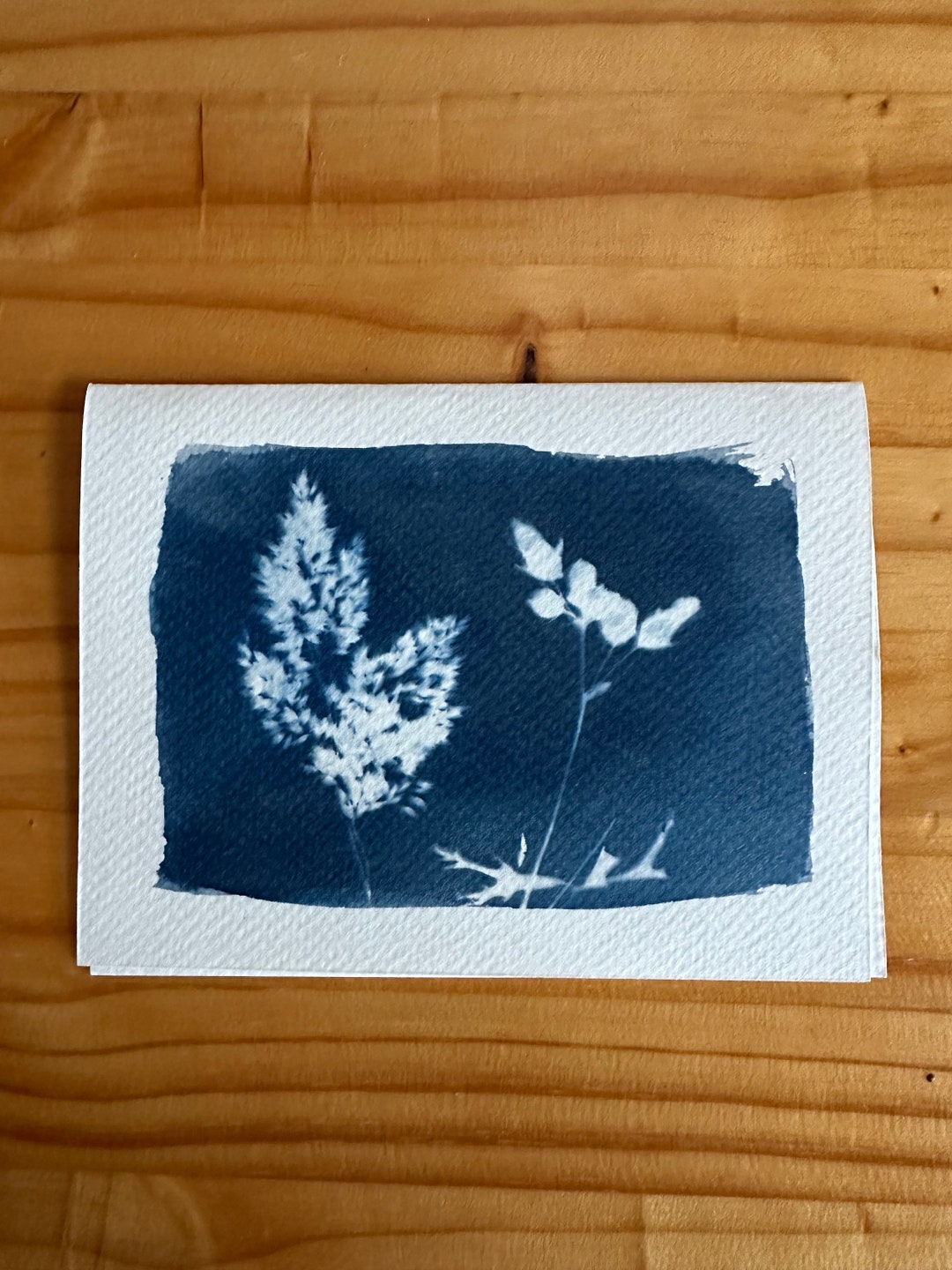 Hand Cut Cyanotype Card on Watercolor - Etsy