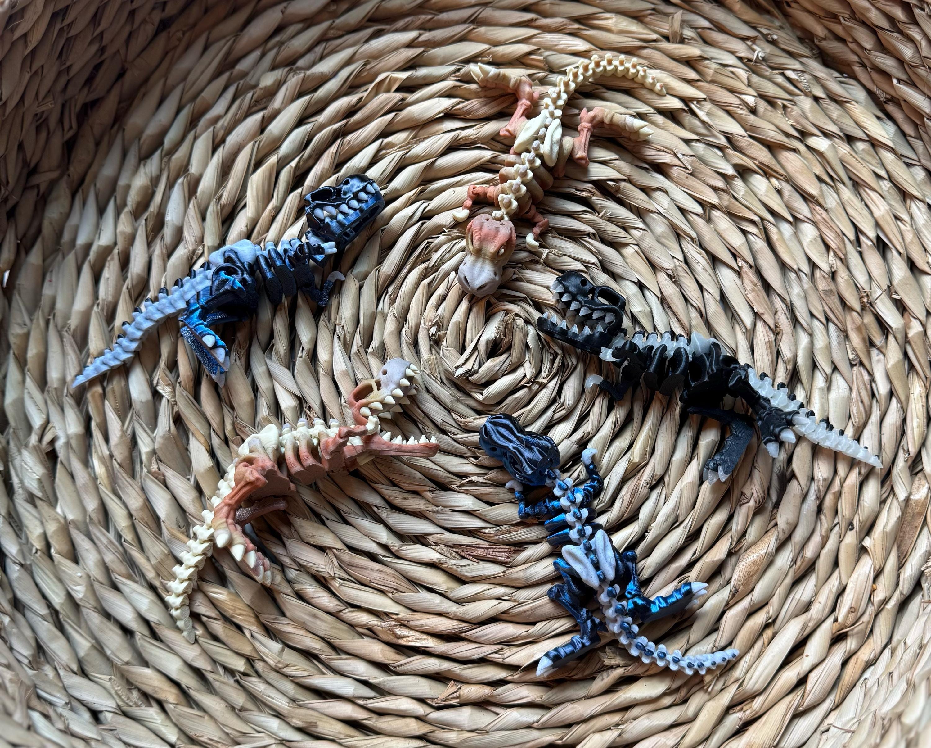 T-rex Skeleton Fidget Toy - 3D Printed T-rex Toy - Dinosaur Skeleton ...