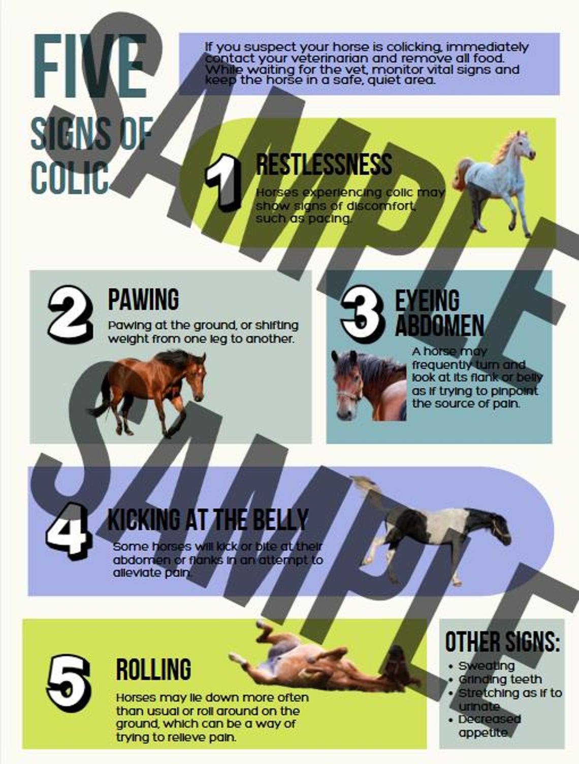 Equine Signs of Colic Infographic - Etsy