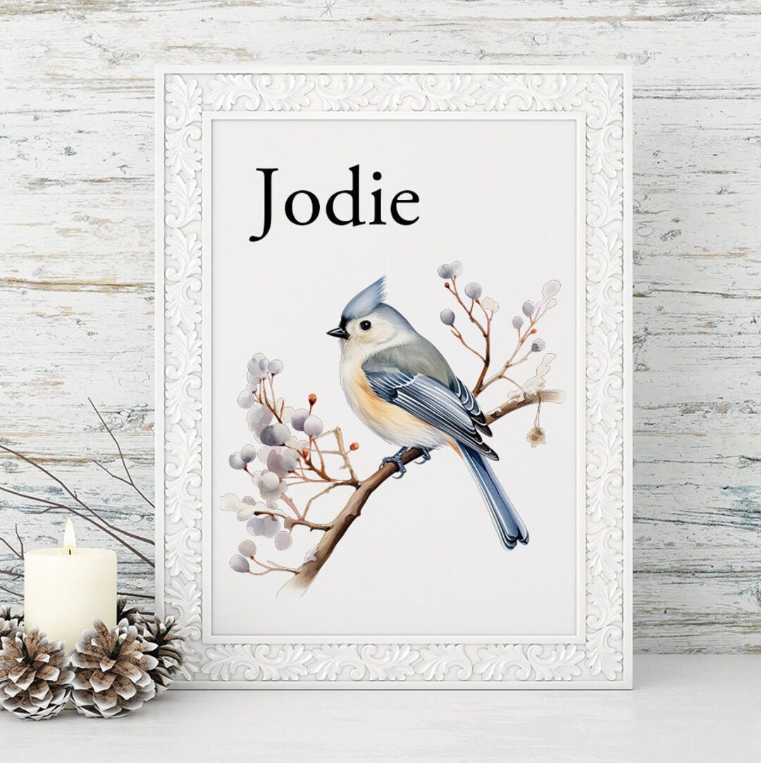 Tufted Titmouse Art, Custom Personalized Gift, Digital Download, - Etsy