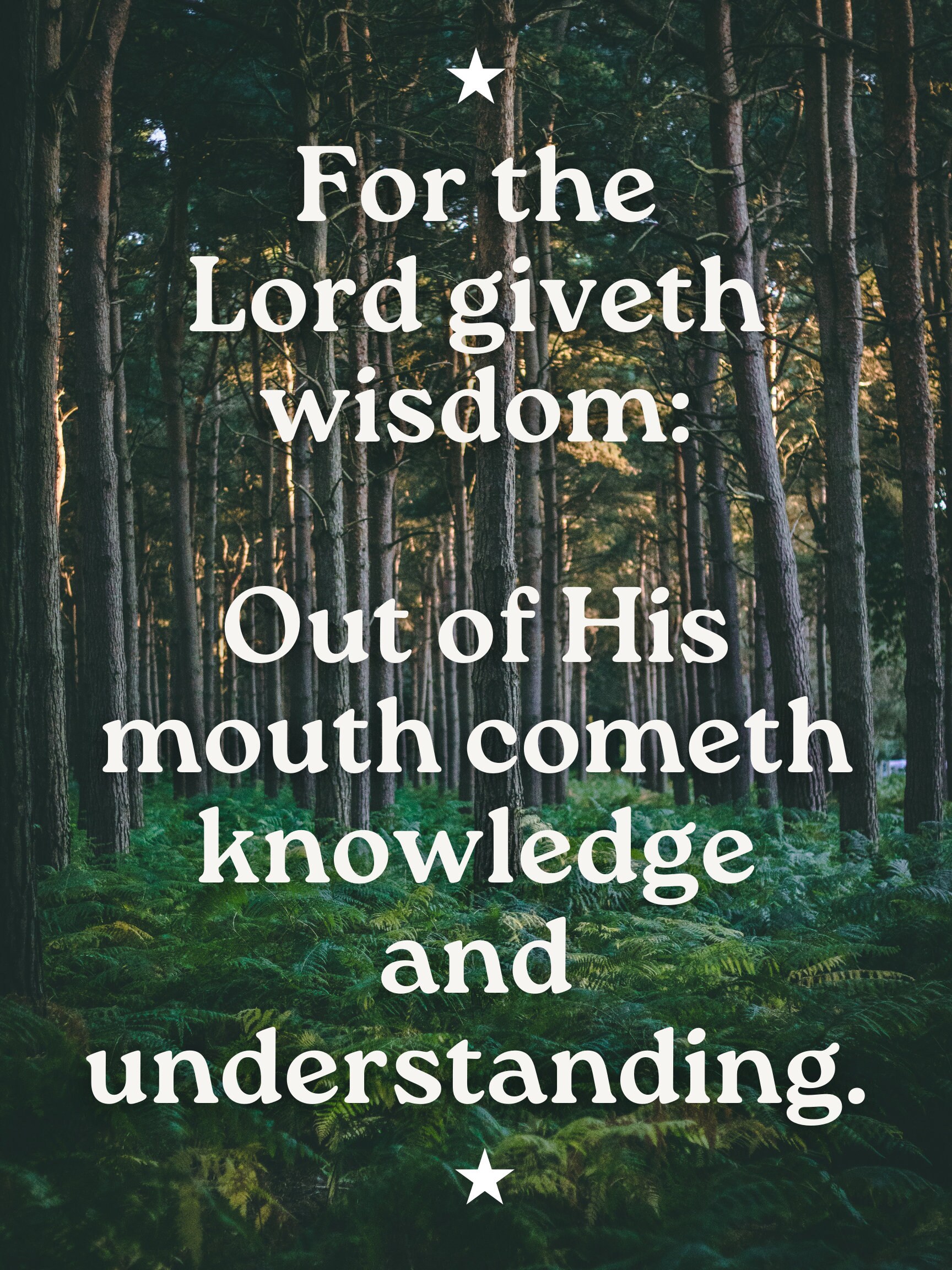 Proverbs 2:6 for the Lord Giveth Wisdom. Inspirational Digital Art ...