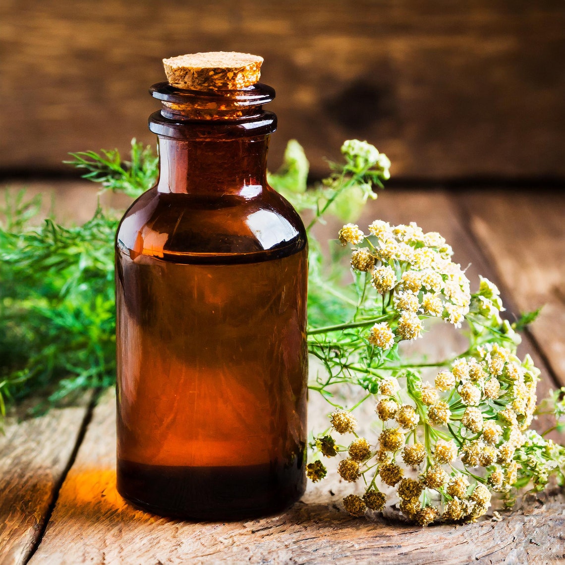 DIY Guide: Crafting Your Own Herbal Tinctures - Digital Download - Etsy