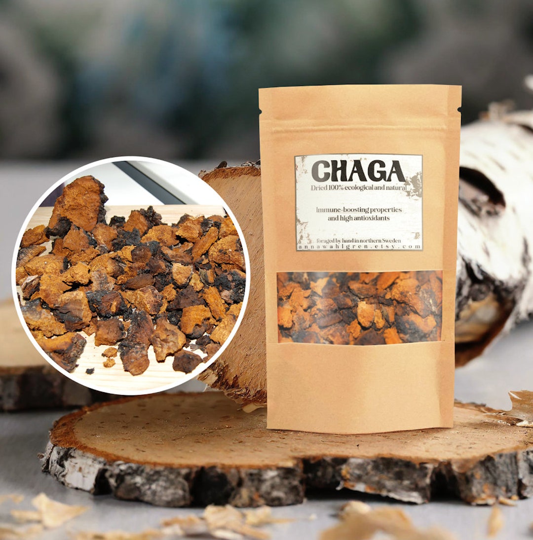 Wild Chaga, 100% Natural, Organic, Swedish, Chunks and Powder - Etsy