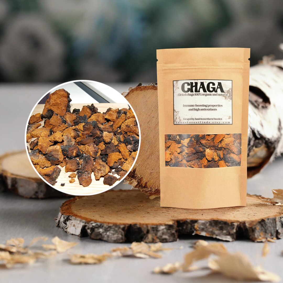 Wild Chaga, 100% Natural, Organic, Swedish, Chunks, Supplement - Etsy