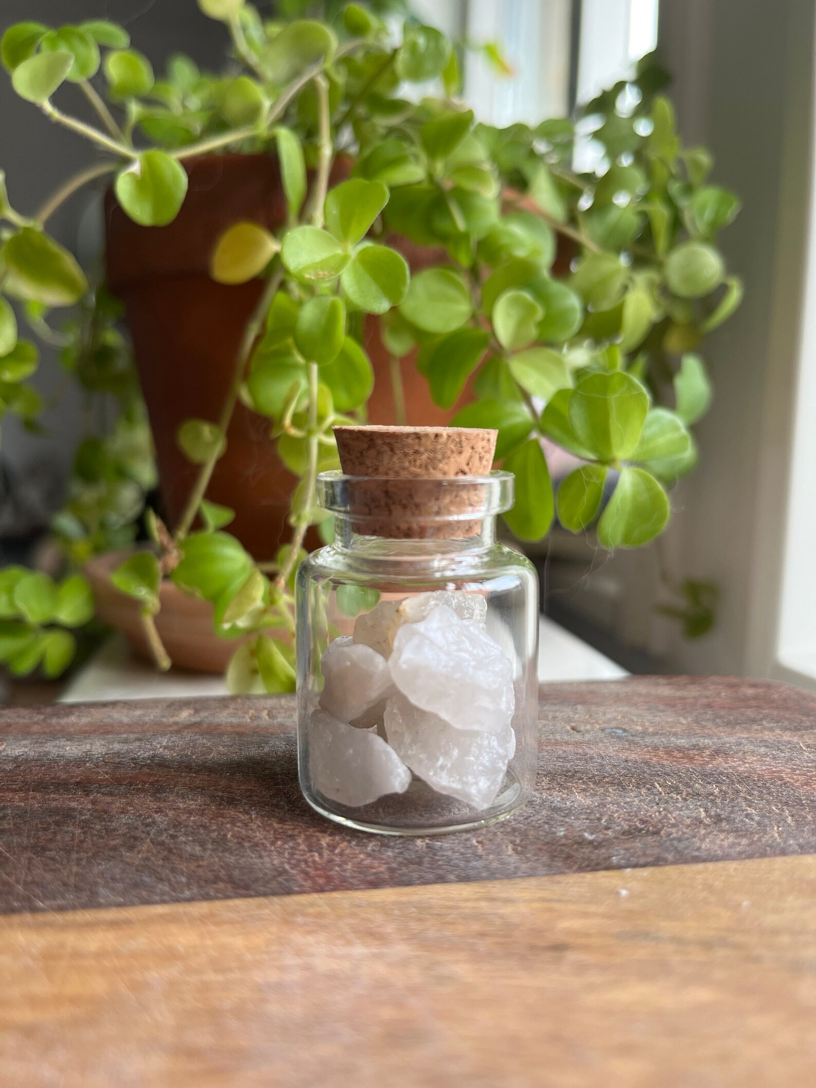 Glass Jar Raw Snow Milky White Quartz Crystal Meditationstones for ...