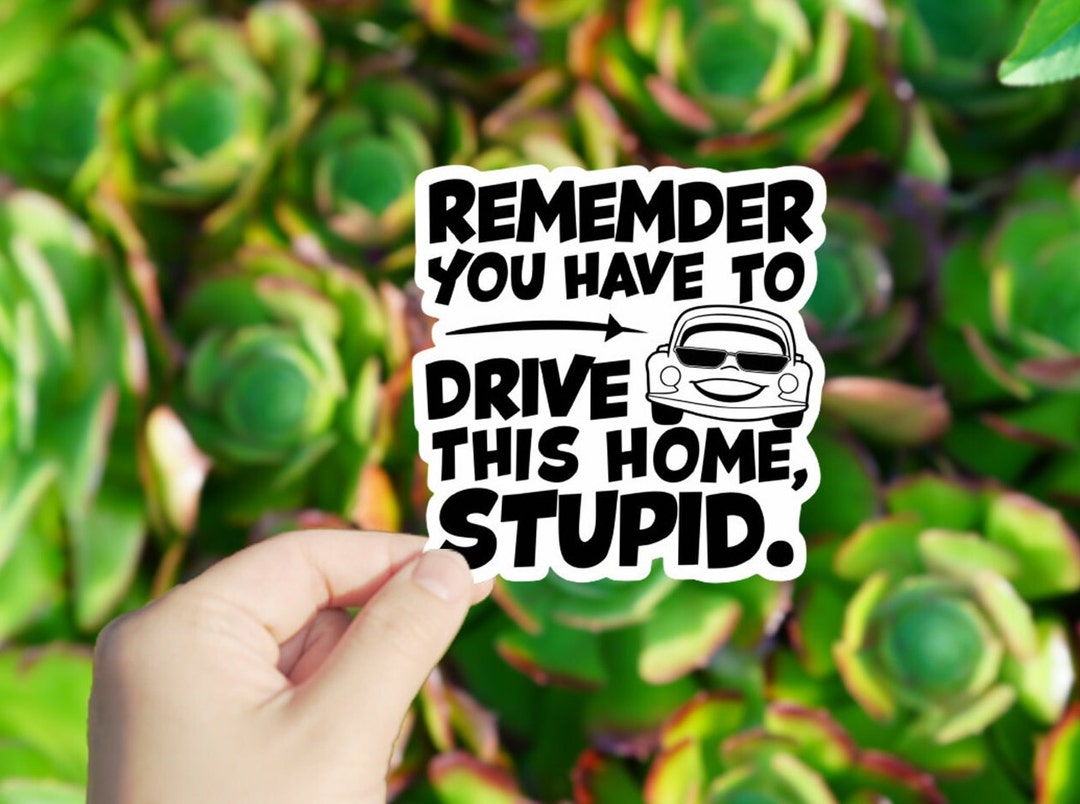 1 Pc "remember You Have to Drive This Home, Stupid" Vinyl Sticker ...