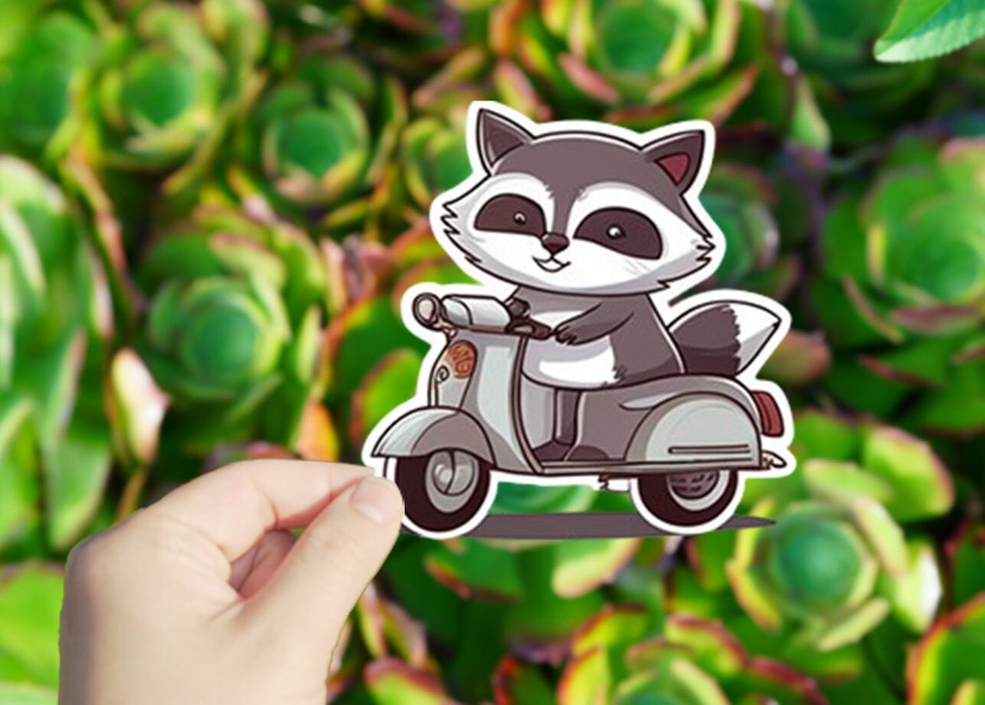 1 Pc Raccoon Rider Vinyl Sticker,sticker for Tablets Laptop Windows ...