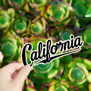 1 Pc CALIFORNIA Vinyl Sticker,sticker for Tablets Laptop Wall Car ...