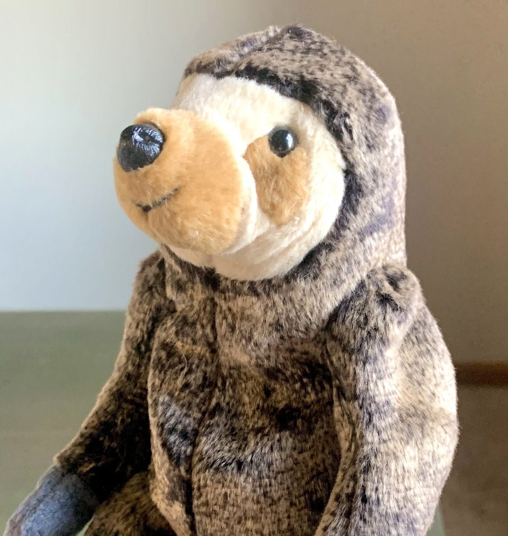 1999 4261 Slowpoke the Sloth Vintage Plush Ty Beanie Baby Stuffed ...