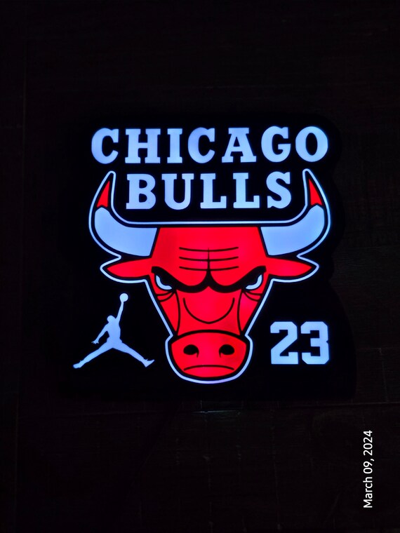 Jordan 23 Bulls Logo