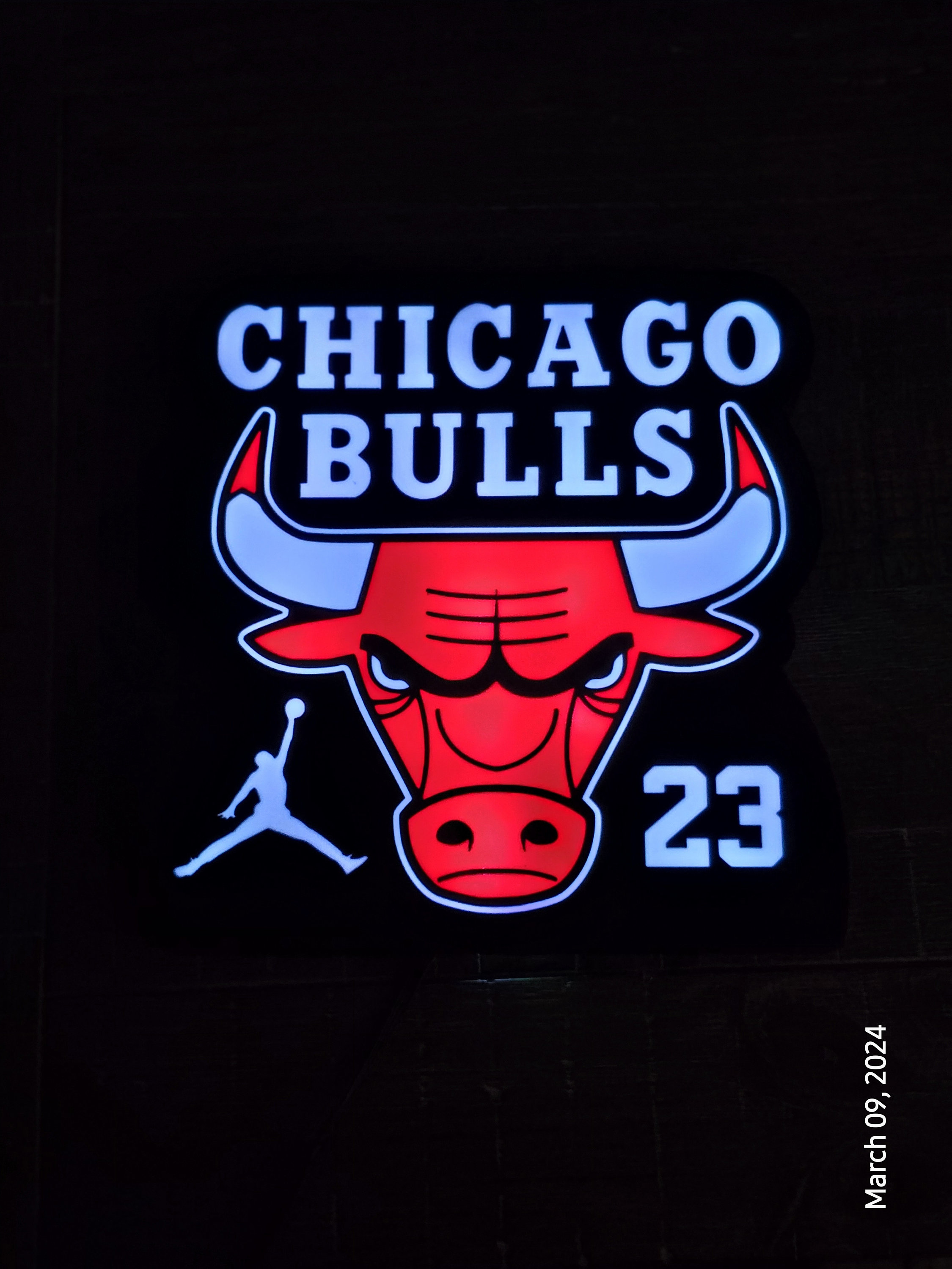 Bulls And Jordan Logo