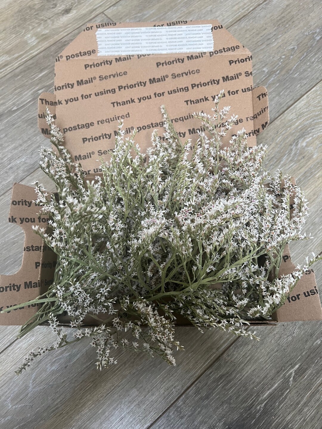 German Statice Small Project Package - Etsy