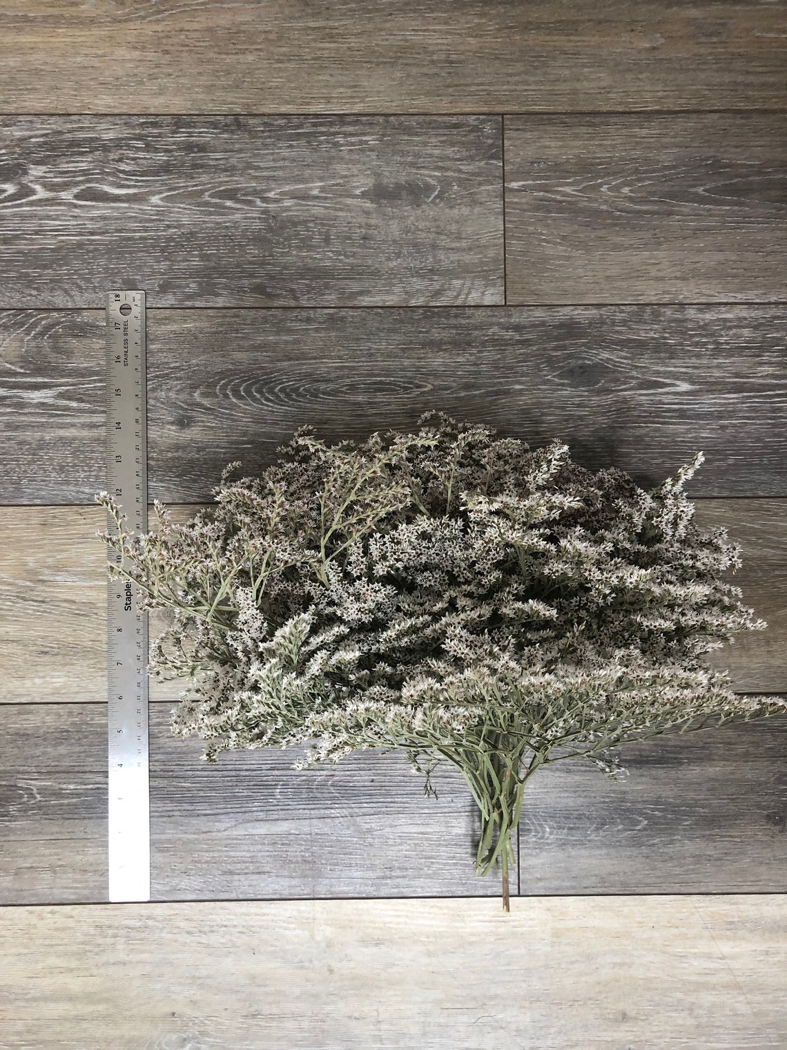 German Statice Large Bulk Case 5 Lbs - Etsy