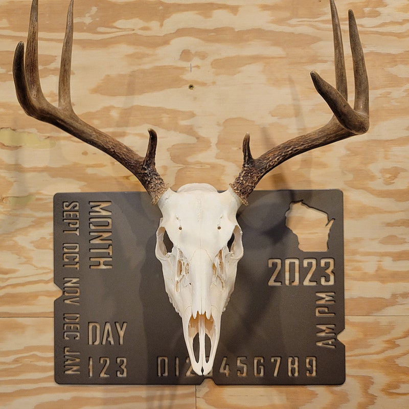 Deer Tag European Mount - Etsy