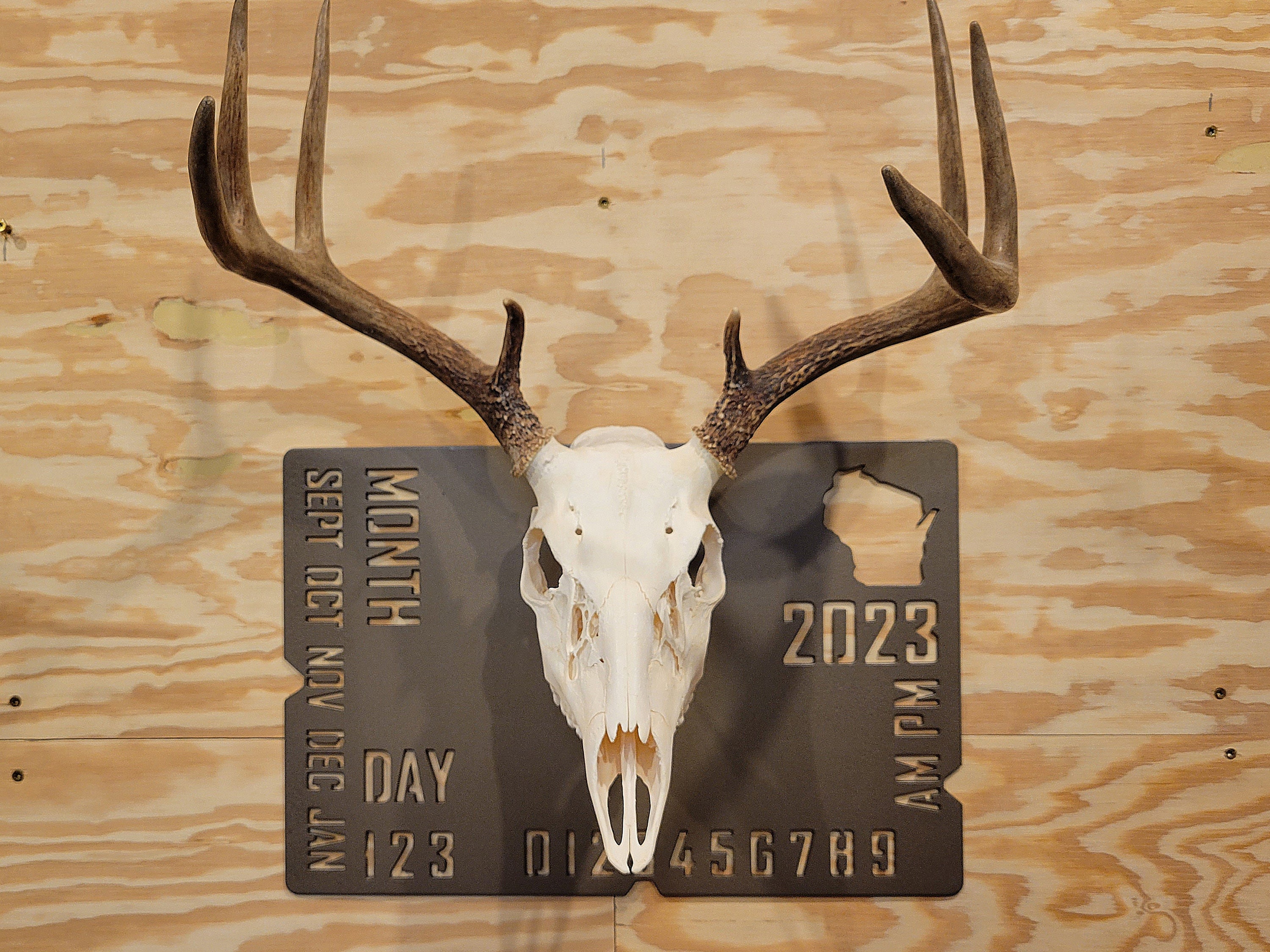 European Deer Mount Plaque - Etsy