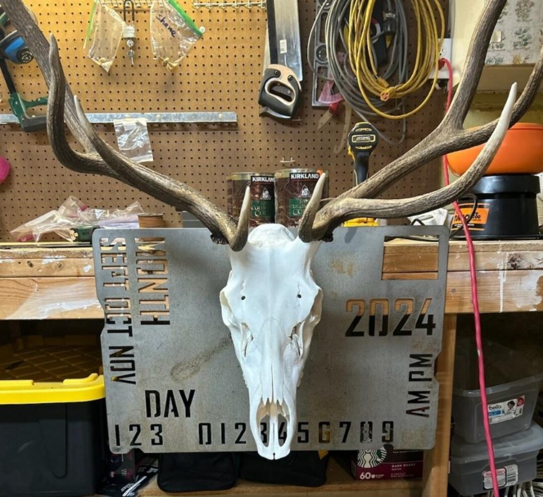 European Elk Mount Plaque - Personalized - Etsy