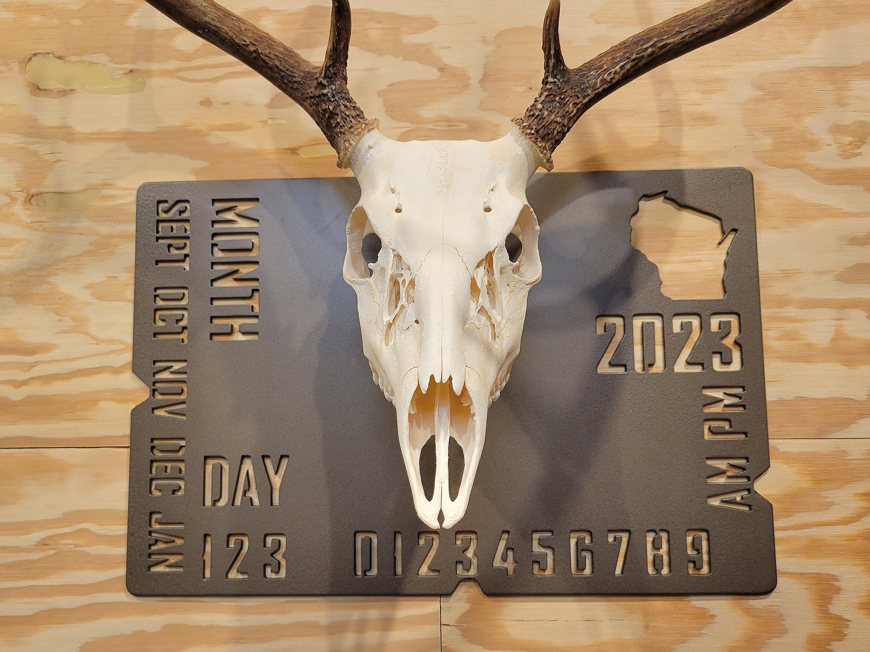 European Deer Mount Plaque - Etsy