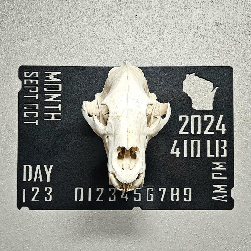 Bear Plaques Personalized - Etsy