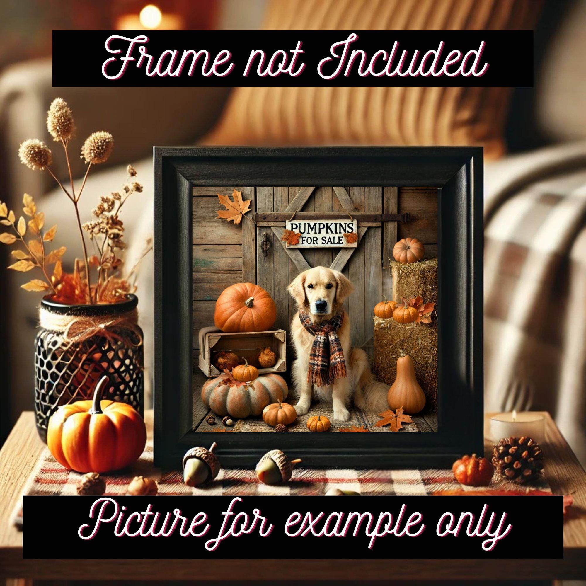 10x10 Fall Dog Pumpkin Sign • Sublimated Aluminum Autumn Decor • Rustic ...