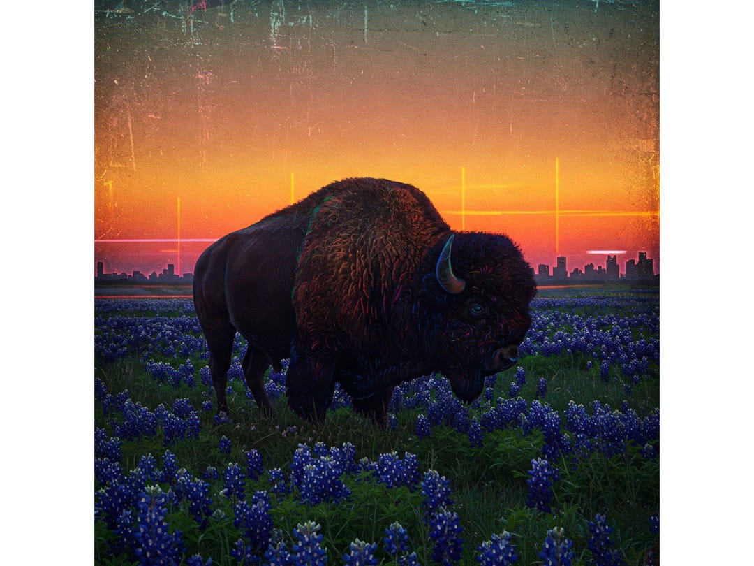 Buffalo Sunset Metal Wall Art, Texas Bluebonnet Aluminum Sign, Western ...