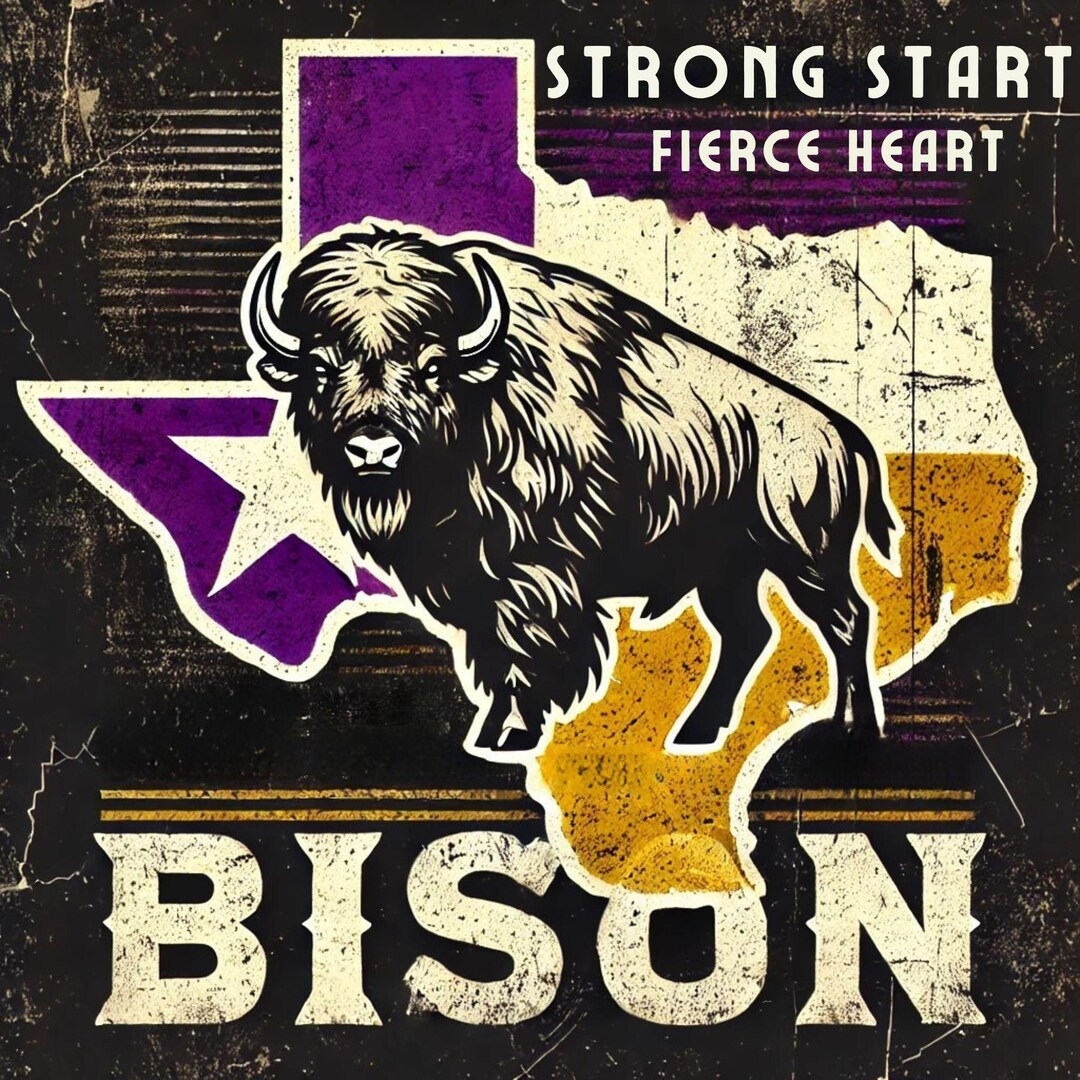 BISON School Mascot Sign 10x10 – Texas State Pride Decor, Coach Gift ...