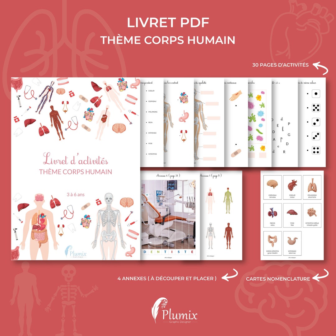 Human Body Theme Activity Booklet 3-6 Years - Etsy