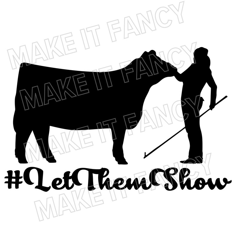 Steer FFA 4H Girl With Steer Stockshow, Livestock Show Time Steer Show ...