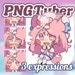 Pink Ferret Girl Pngtuber, Premade Pngtuber+ Model, Streaming Giftuber ...