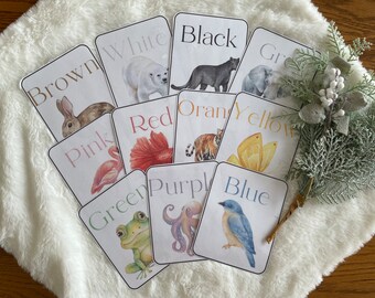 Color Flashcards Download Learning Basic Colors Preschool Homeschool ...