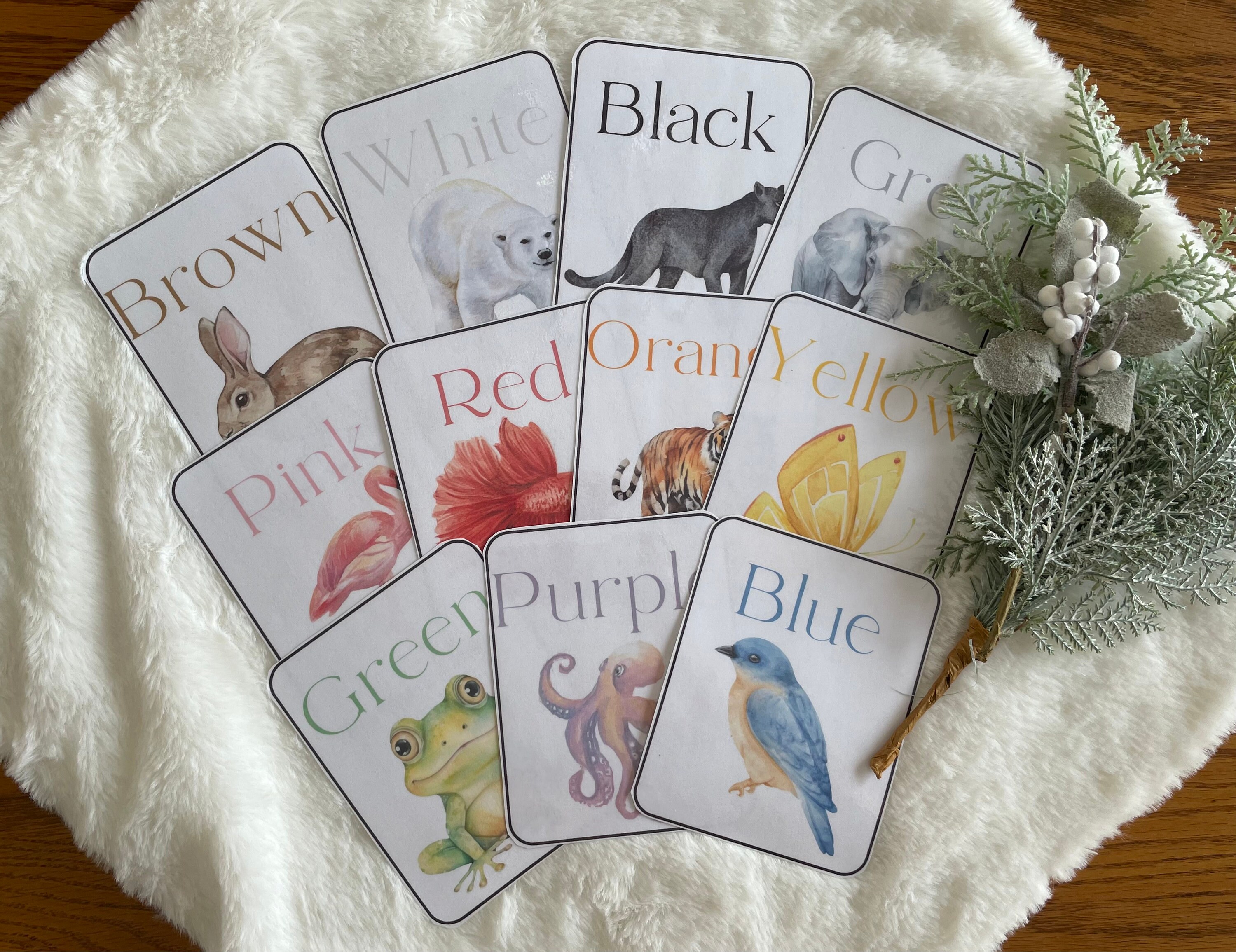 Color Flashcards - PDF Download - Etsy