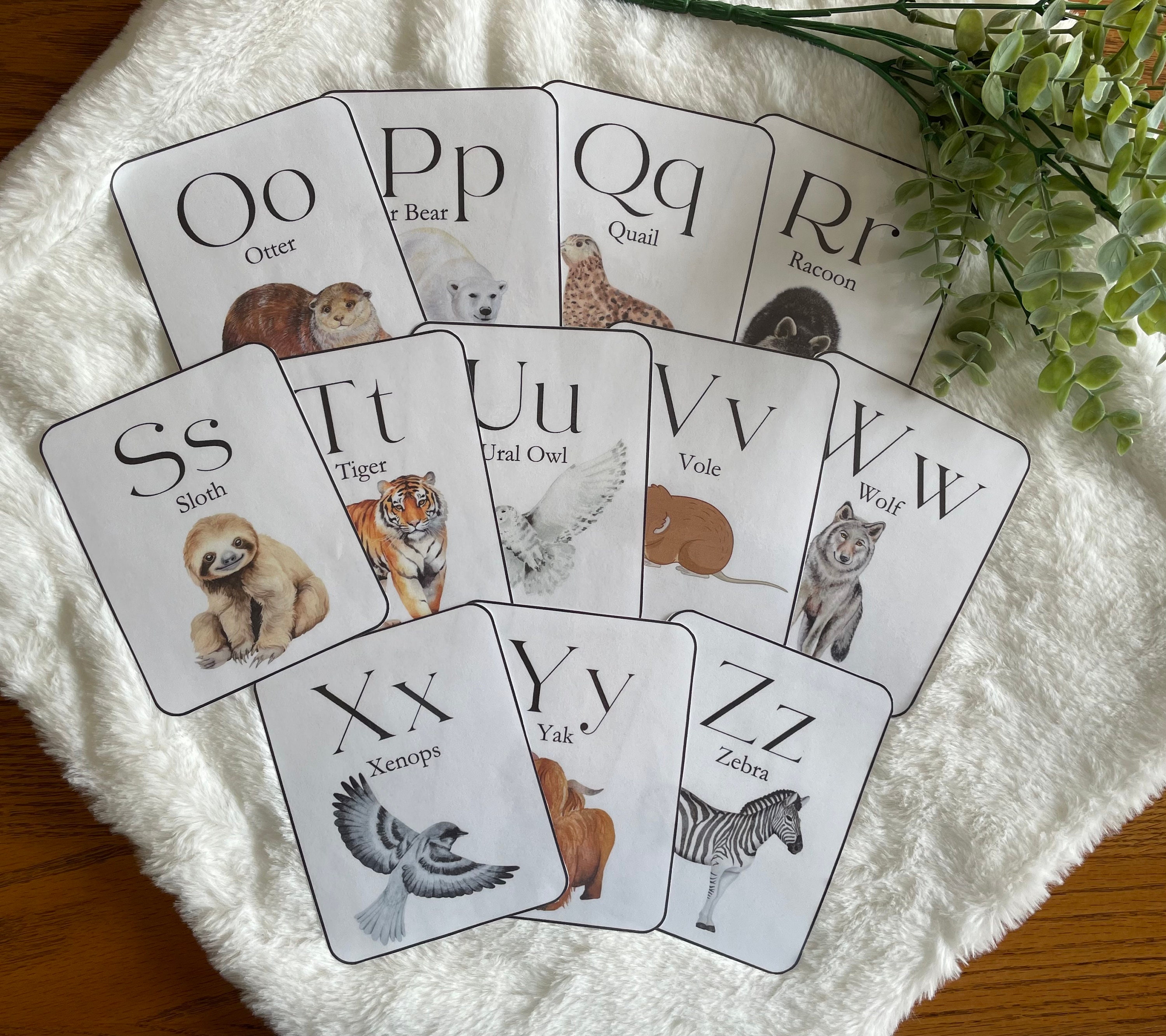 Animal Alphabet Flashcards PDF Download - Etsy
