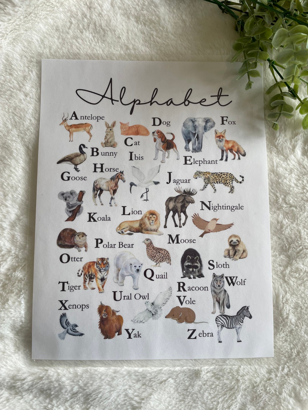 Animal Alphabet Poster PDF Download - Etsy