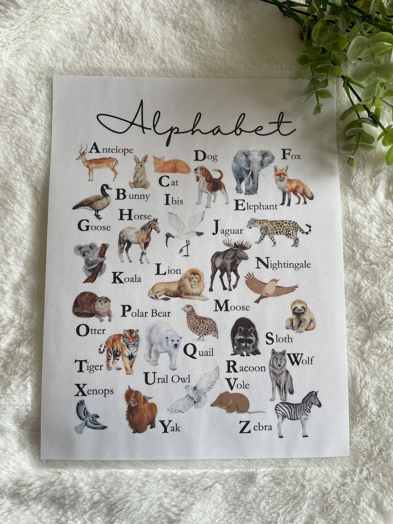 Animal Alphabet Poster PDF Download - Etsy