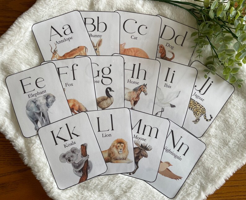 Animal Alphabet Flashcards PDF Download - Etsy
