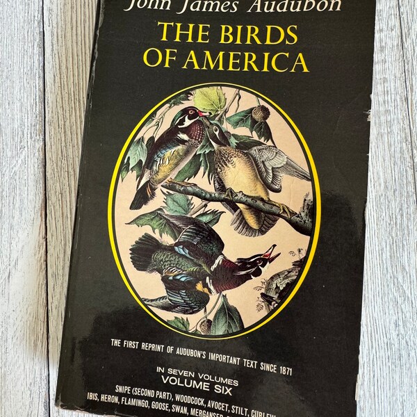 Vintage Bird Book - Etsy