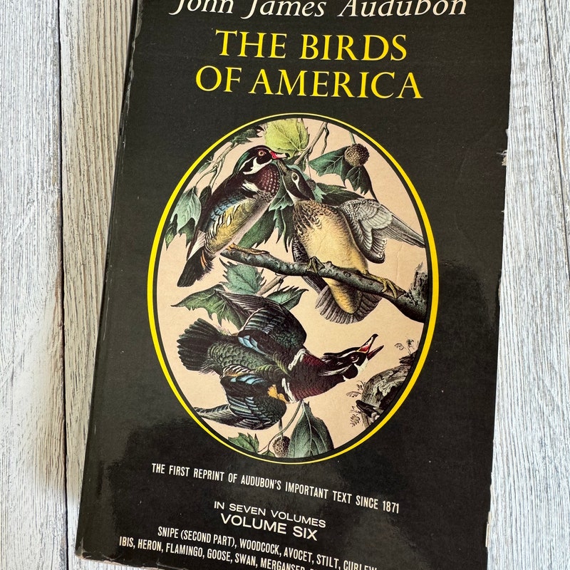 Vintage Bird Book - Etsy