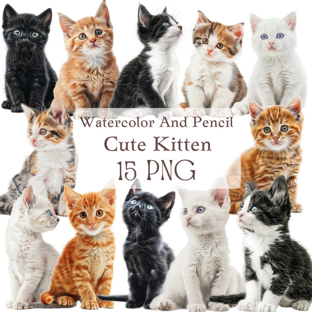 PNG With a Transparent Background, Kitten Drawing With Pencils and ...
