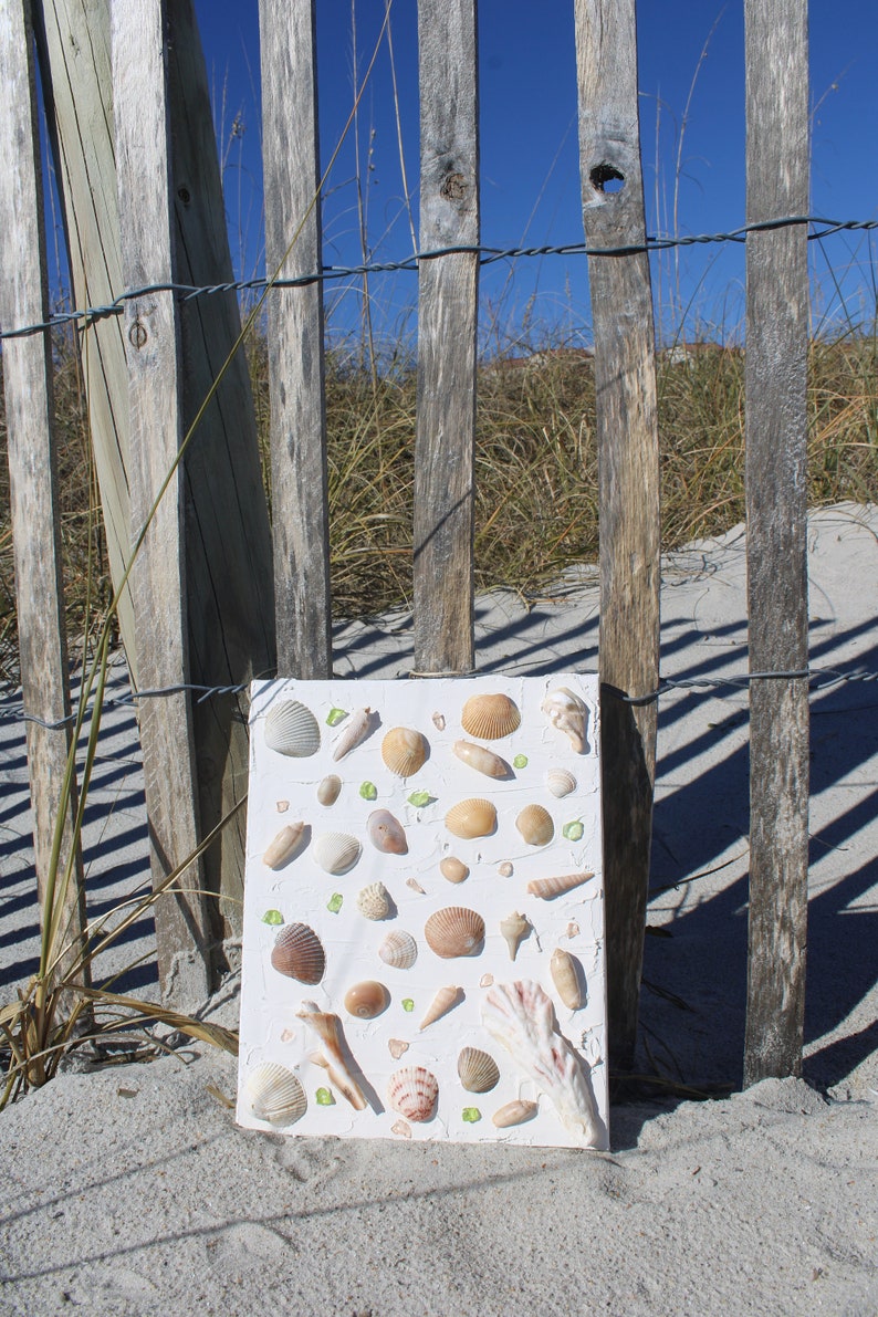Seashell Canvas - Etsy