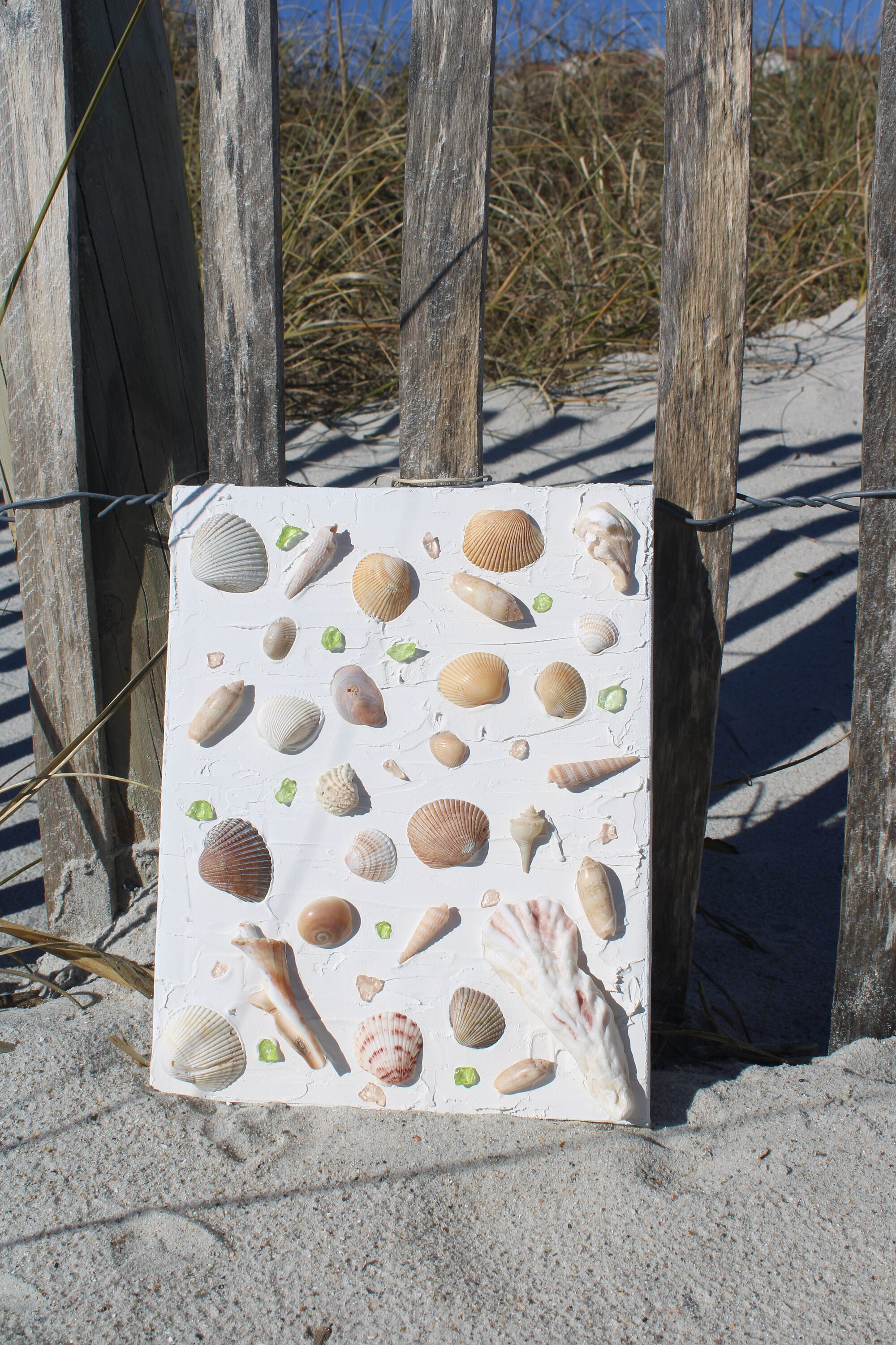Seashell Canvas - Etsy