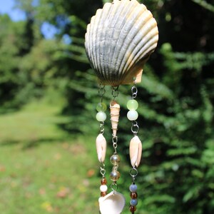 Hanging Scallop Shell Decor - Etsy