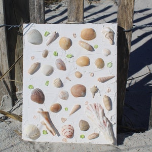 Seashell Canvas - Etsy
