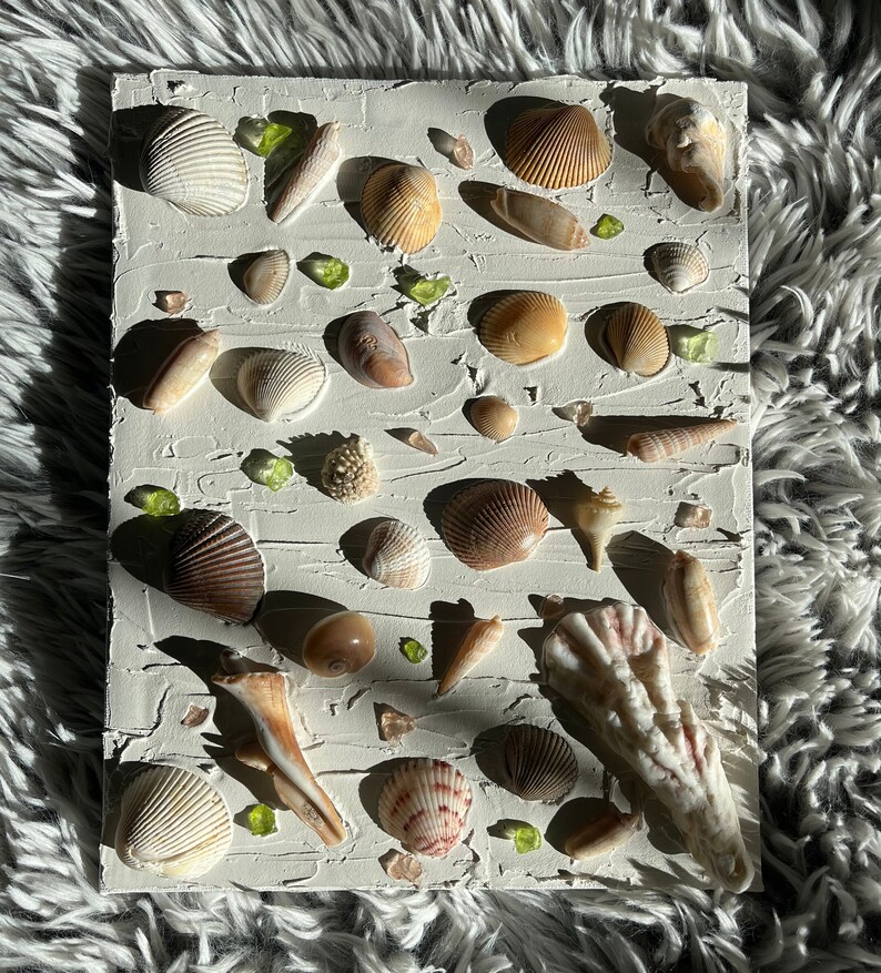 Seashell Canvas - Etsy