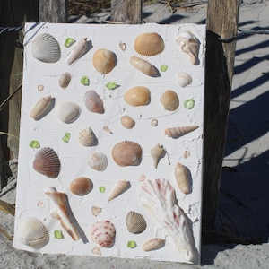 Seashell Canvas - Etsy