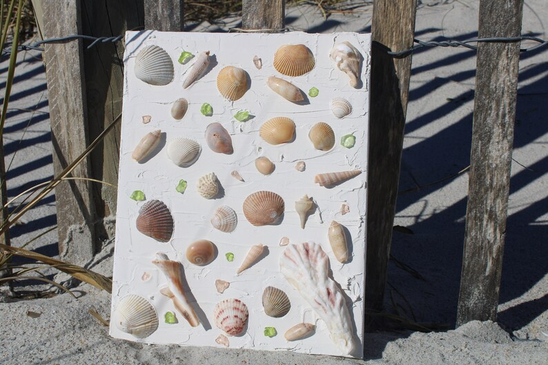 Seashell Canvas - Etsy