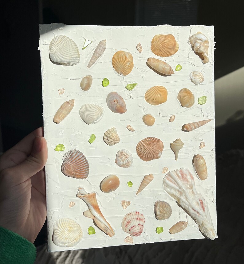 Seashell Canvas - Etsy