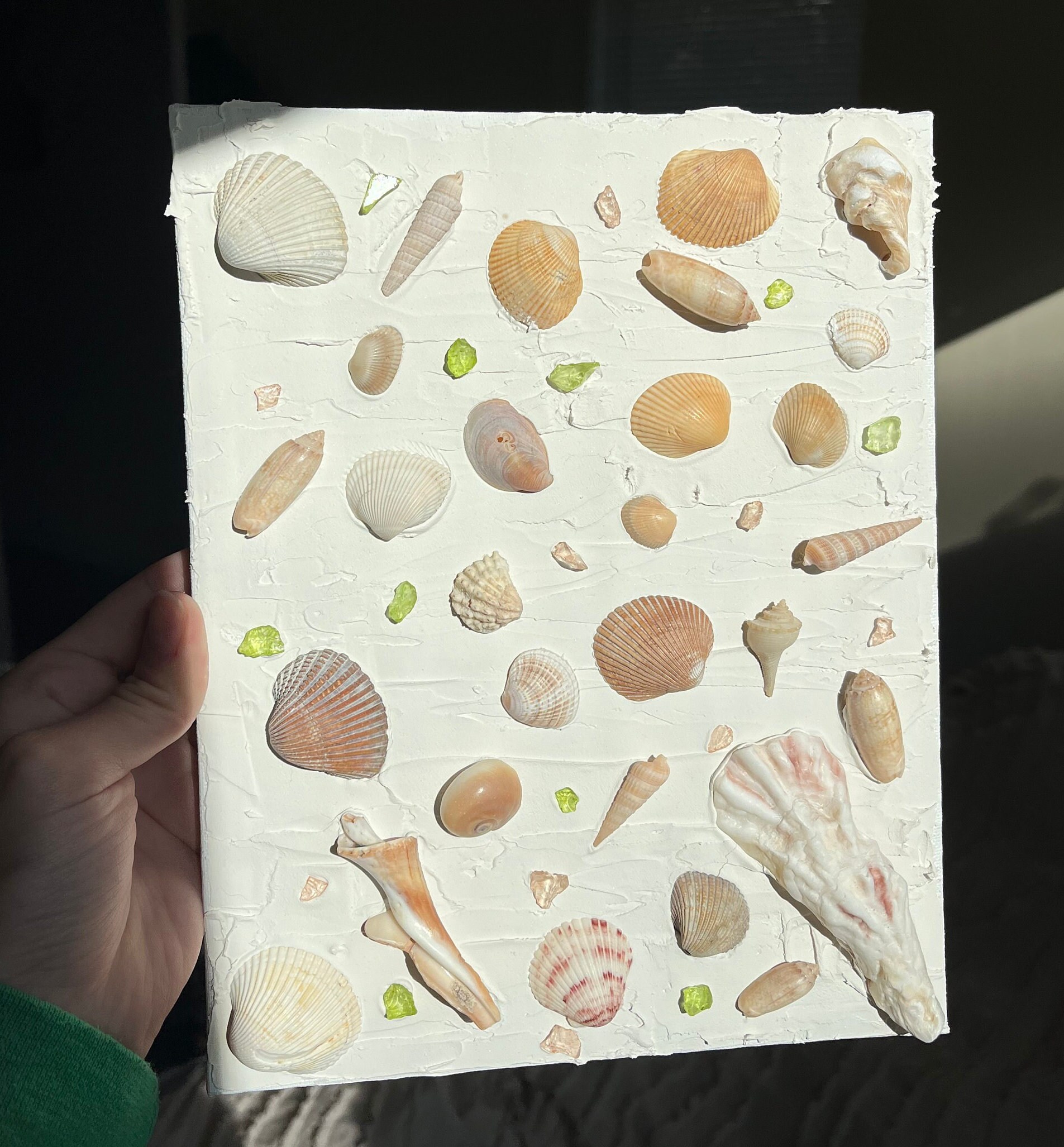 Seashell Canvas - Etsy