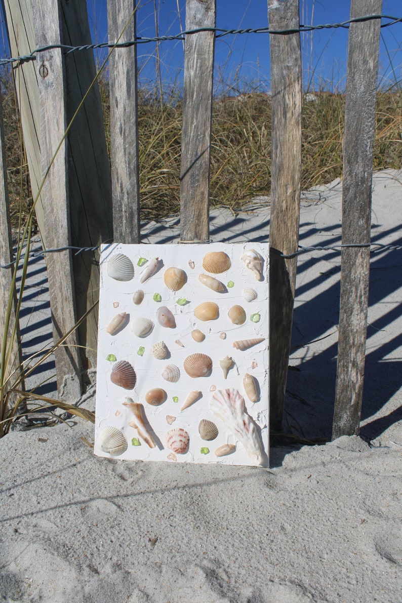 Seashell Canvas - Etsy