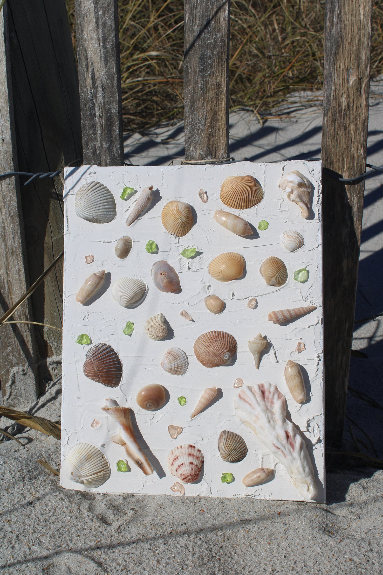 Seashell Canvas - Etsy