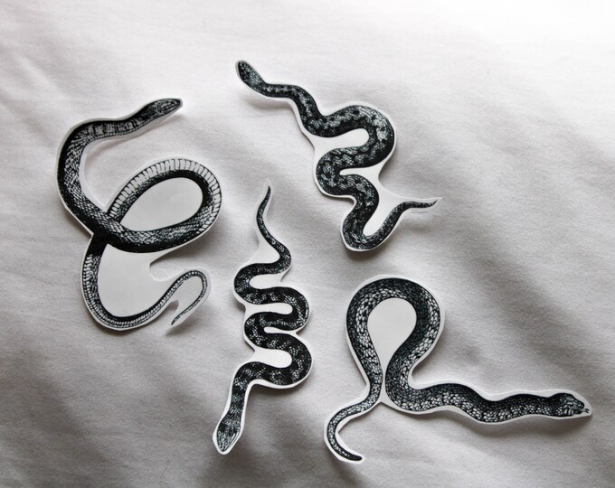 Taylor Swift Look What You Made Me Do Snake Illustration Karen Snake ...