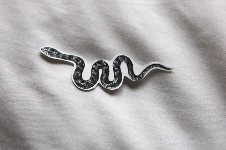 Snake Vinyl Stickers - Unique and Eye-catching Reputation Inspired ...